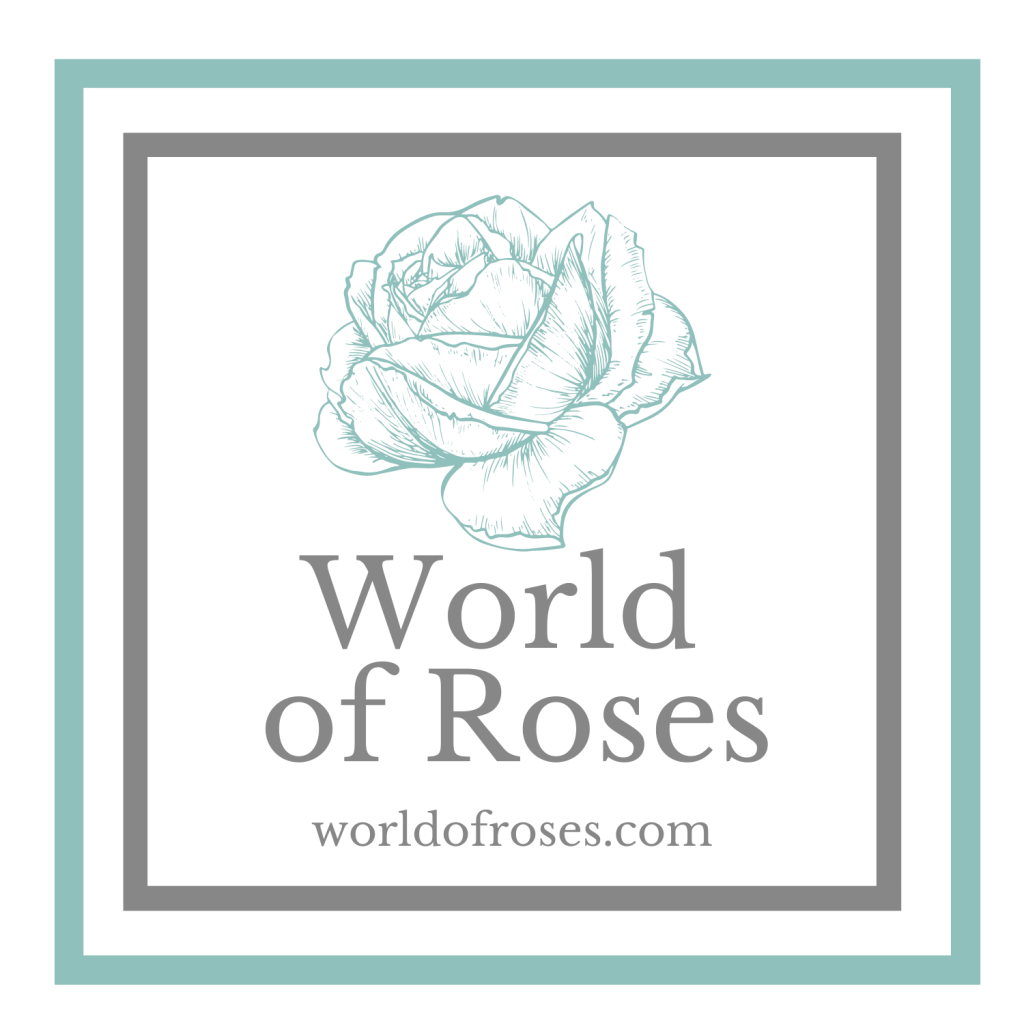 Imagine Rose - World of Roses - Against Breast Cancer